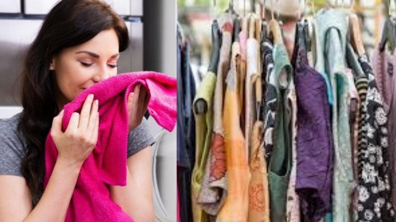 Not the Price But These Things Will Help You Differentiate Between ...